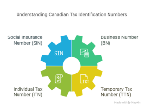 Guide to Canadian Tax Identification Numbers (SIN, BN, ITN)